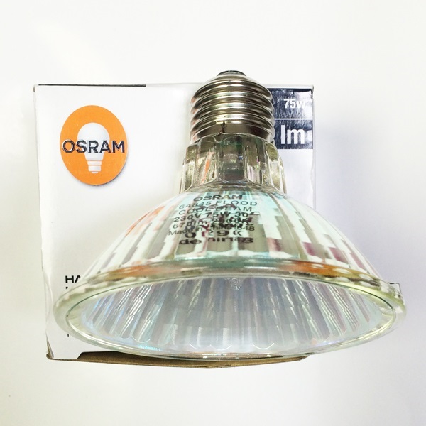 Buy Osram PAR30 75W Halogen Lamp at Best Price in India