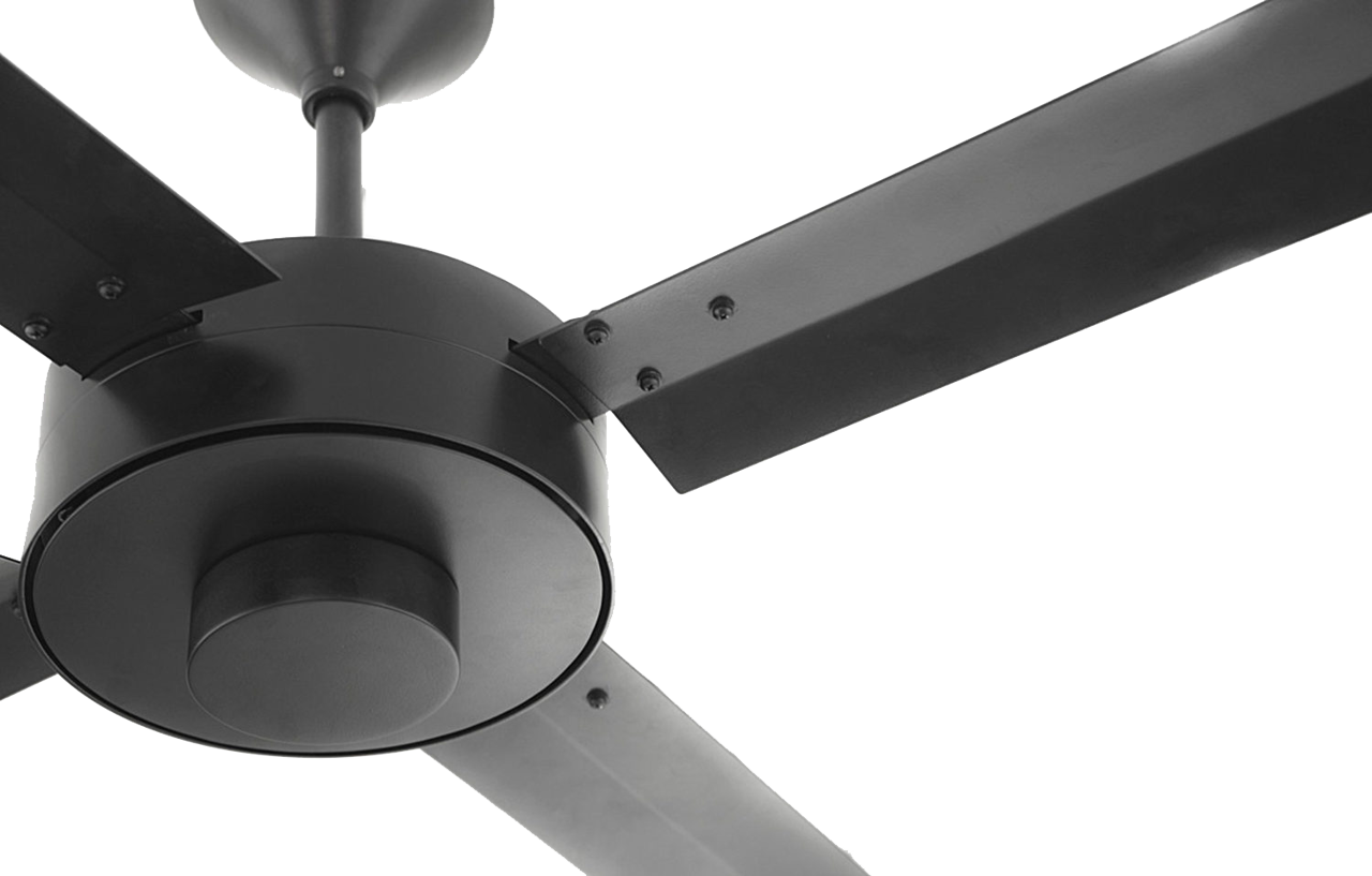 Buy Windmill Stark 72" Luxury Ceiling Fan Online @ Best Price in India