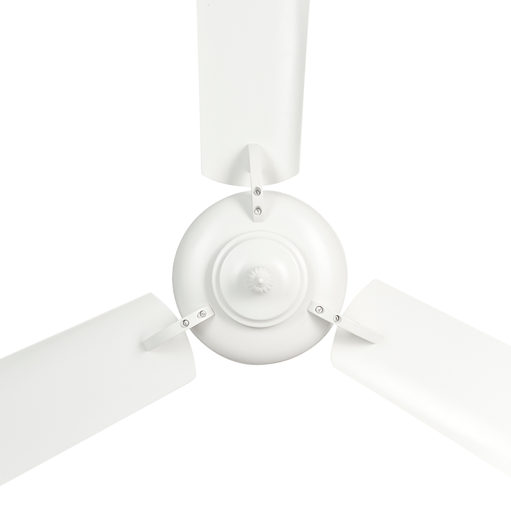 Buy The Fan Studio Henry 48" Luxury Ceiling Fan at Best Price In India